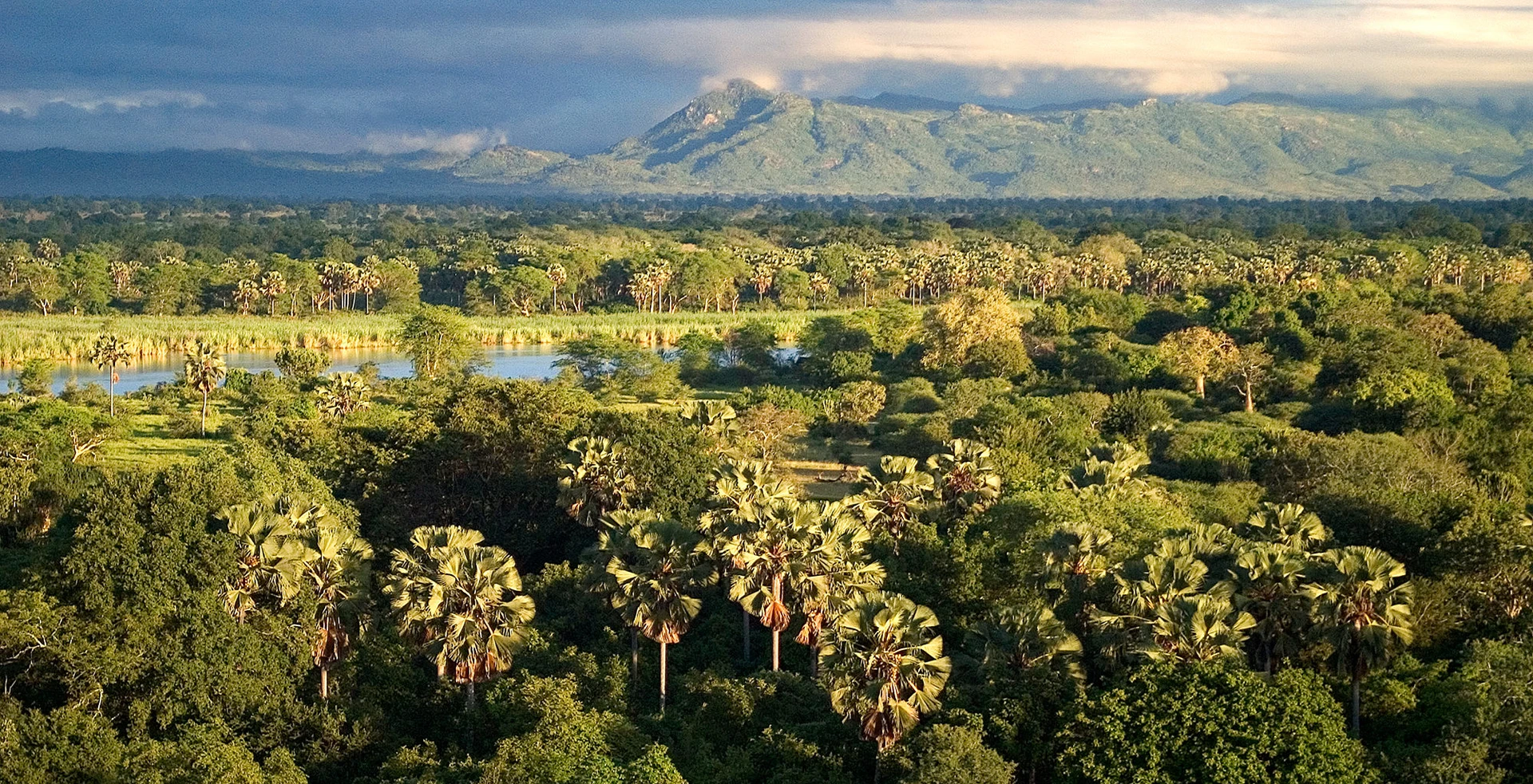 Liwonde, Southern Region, Malawi (Forest Reserve) - Ratings & Guide