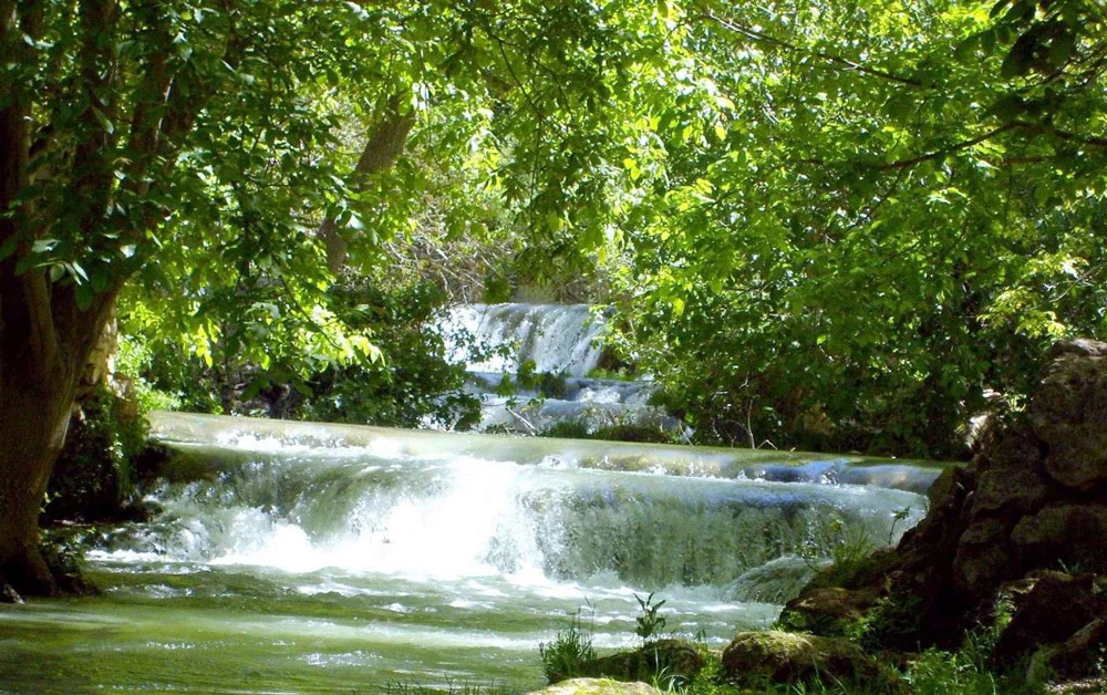 Tang-e-Bostanak, Iran (Protected Area) - Ratings & Guide