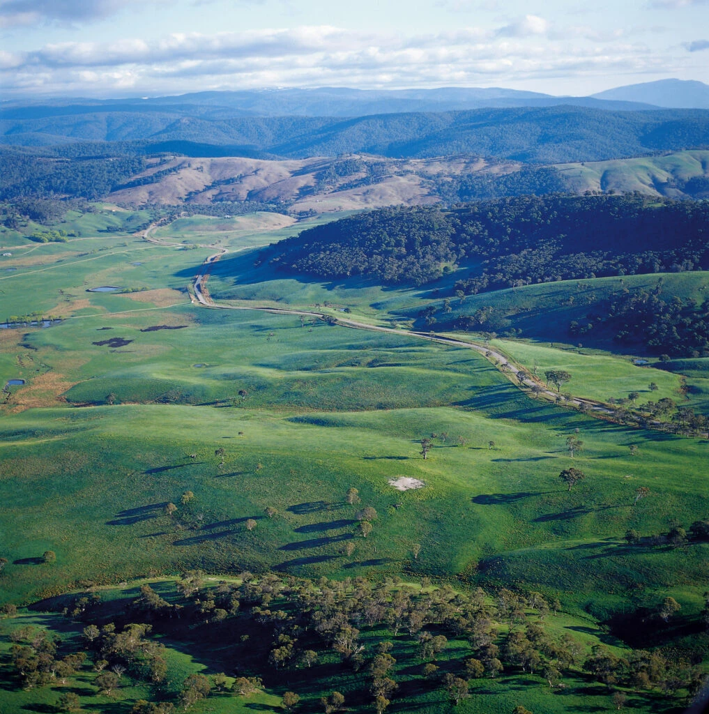 Errinundra, Australia (National Park) - Ratings & Guide