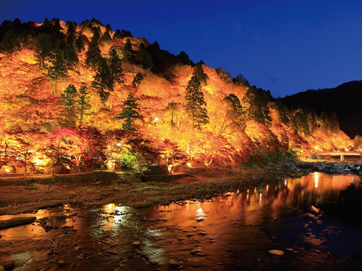 Atsumi Peninsula, Japan (Prefectural Natural Park) - Ratings & Guide