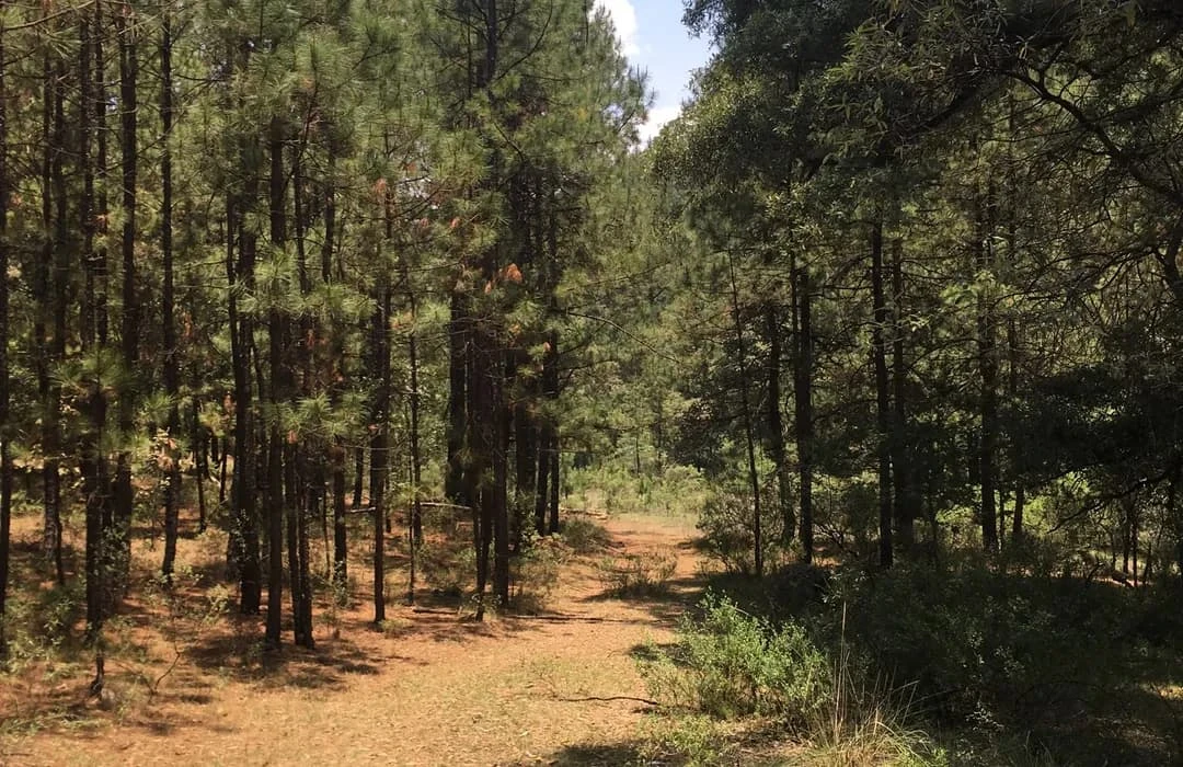 Chapa de Mota, Mexico (State Park) - Ratings & Guide