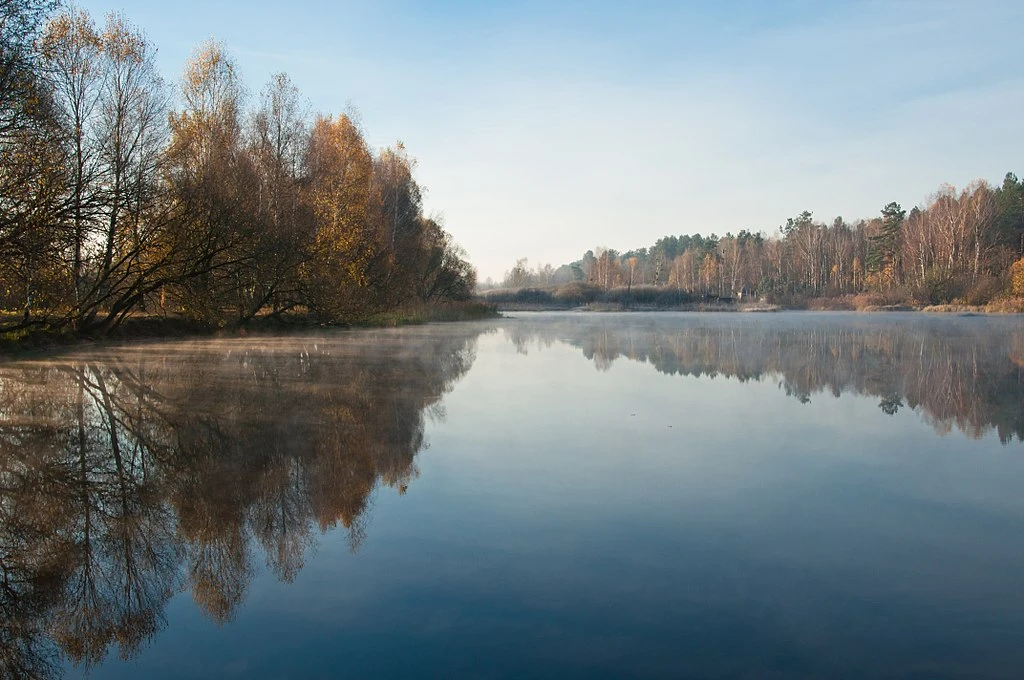 Polissia, Ukraine (Nature Reserve) - Ratings & Guide