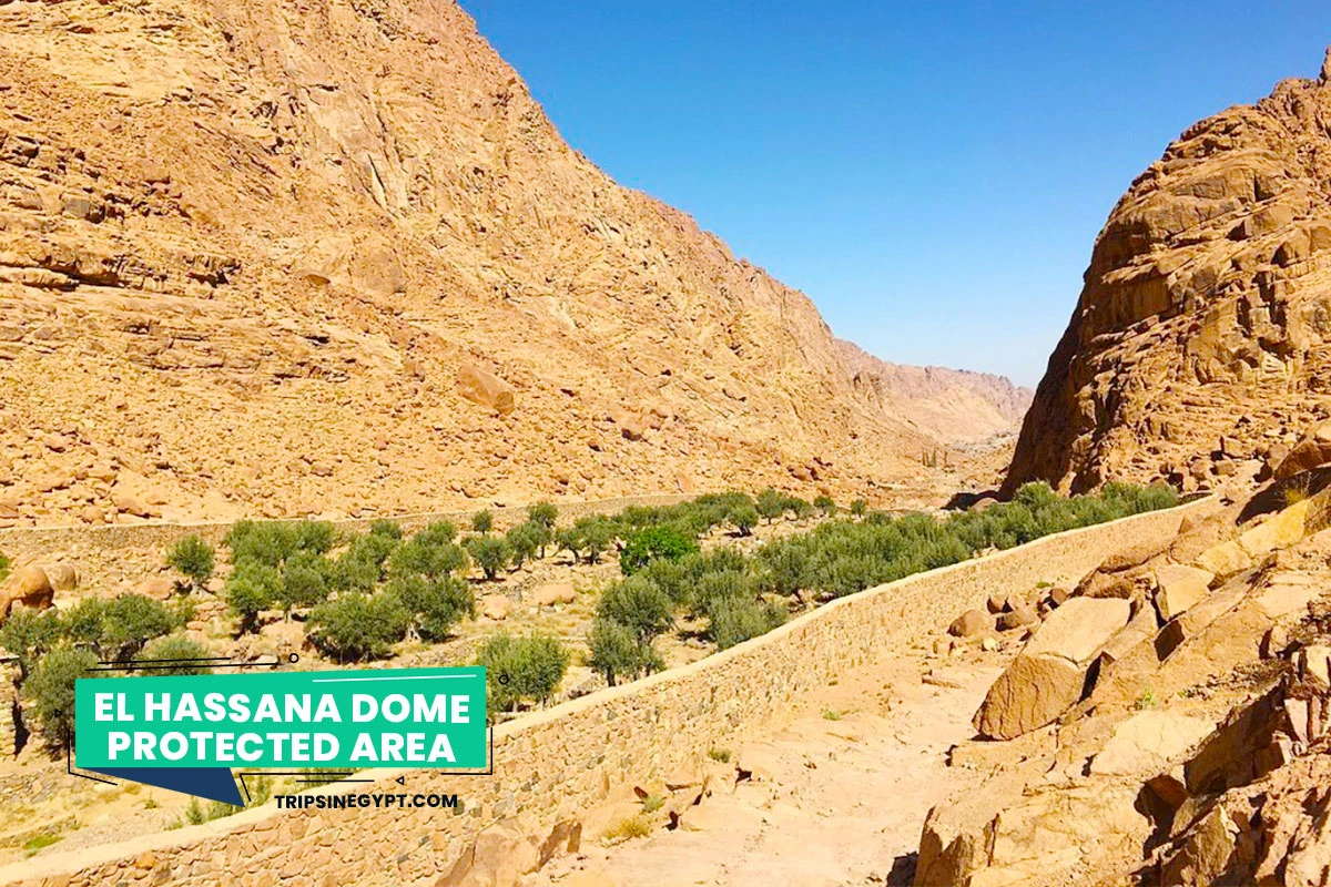 El-Hassana Dome, Egypt (Protected Area) - Ratings & Guide